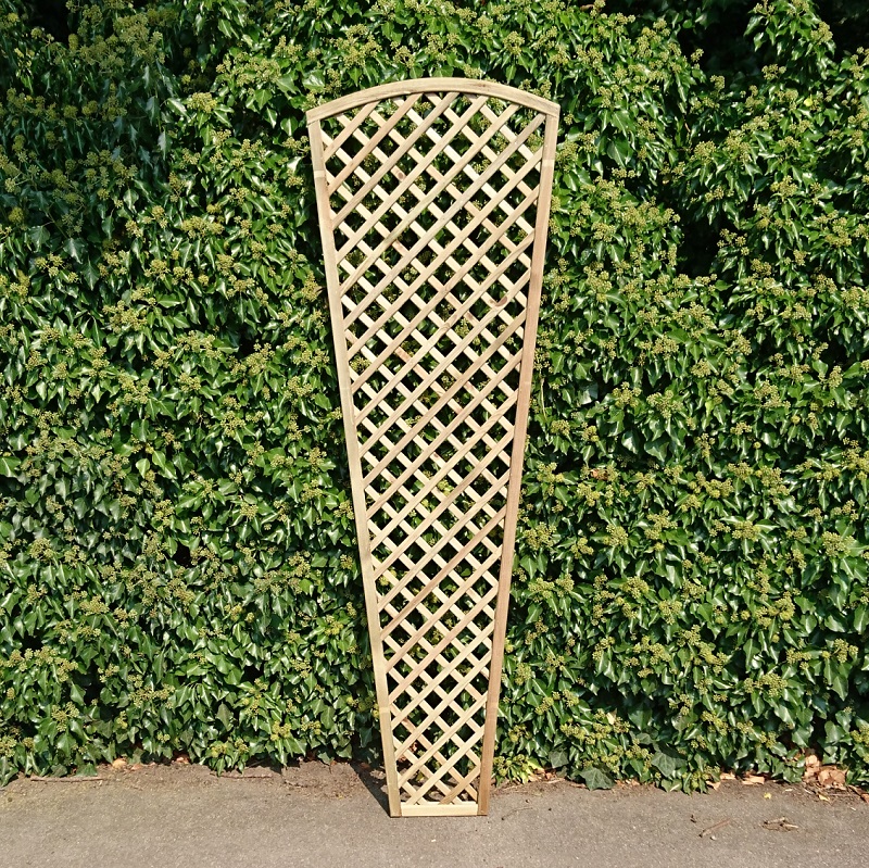 English Fan Trellis - Hartwells Fencing