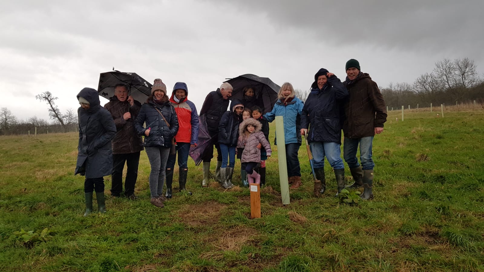 Tree Support & Protection - Hartwells Fencing