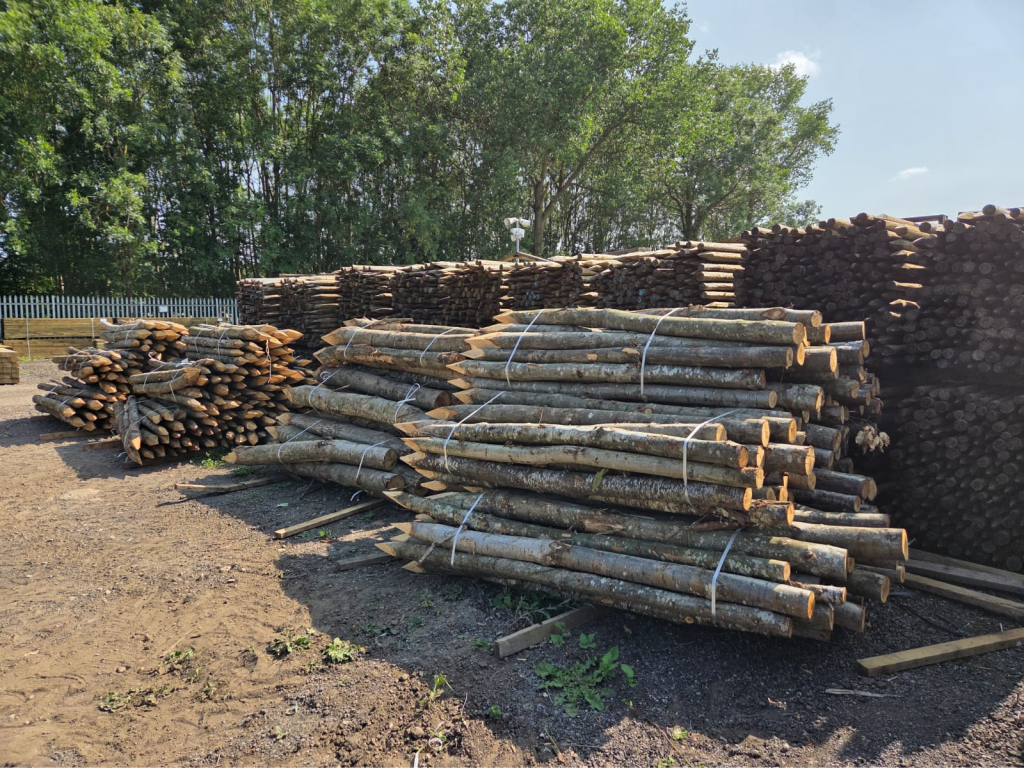 British-Grown Sweet Chestnut: A Natural Choice for Durable, Sustainable ...
